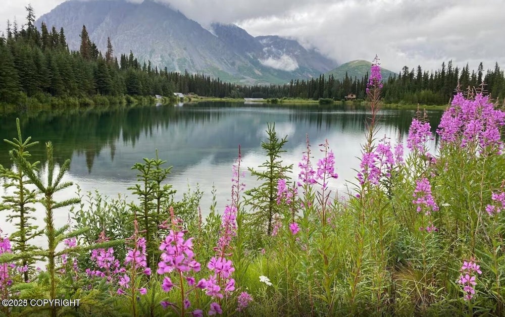 Mi 214.5 Parks Highway, Cantwell, AK 99729 - MLS# 25-3045 - Coldwell Banker