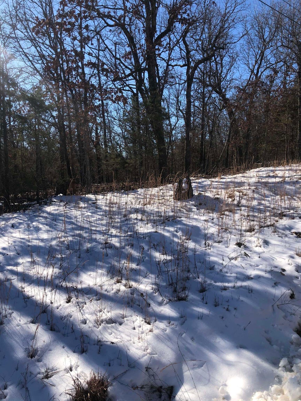 73 Pinecrest Road, Hardy, AR 72542 - MLS# 25002431 - Coldwell Banker