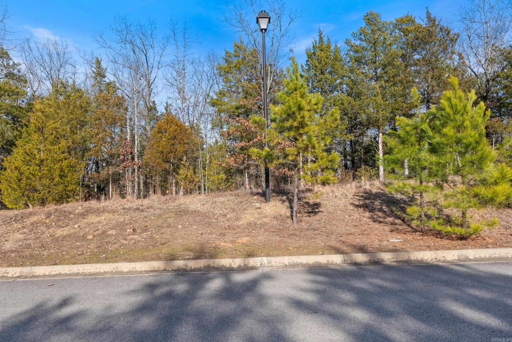 960 Timber Knoll Drive, Conway, AR 72034 - MLS# 25004136 - Coldwell Banker