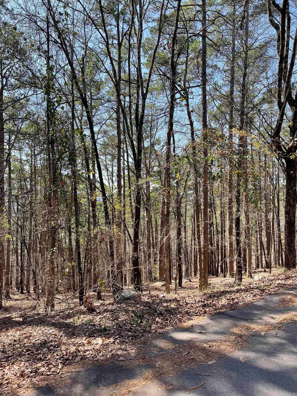 Address Withheld By Seller, Hot Springs Village, AR 71909 - MLS ...