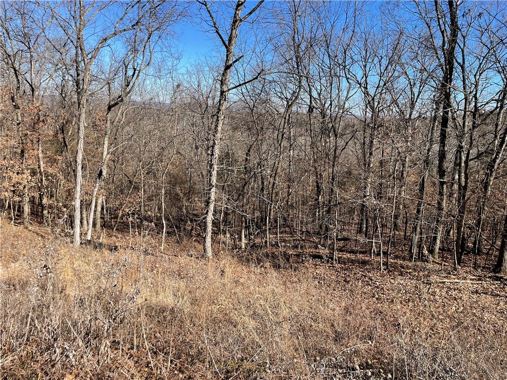 30 Venus Avenue, Holiday Island, AR 72631 - MLS# 1266156 - Coldwell Banker