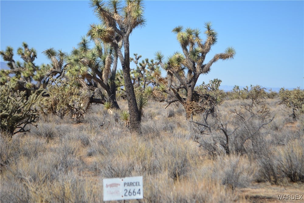 Lot 2664 Rawhide Road, Yucca, AZ 86438 - MLS# 026189 - Coldwell Banker