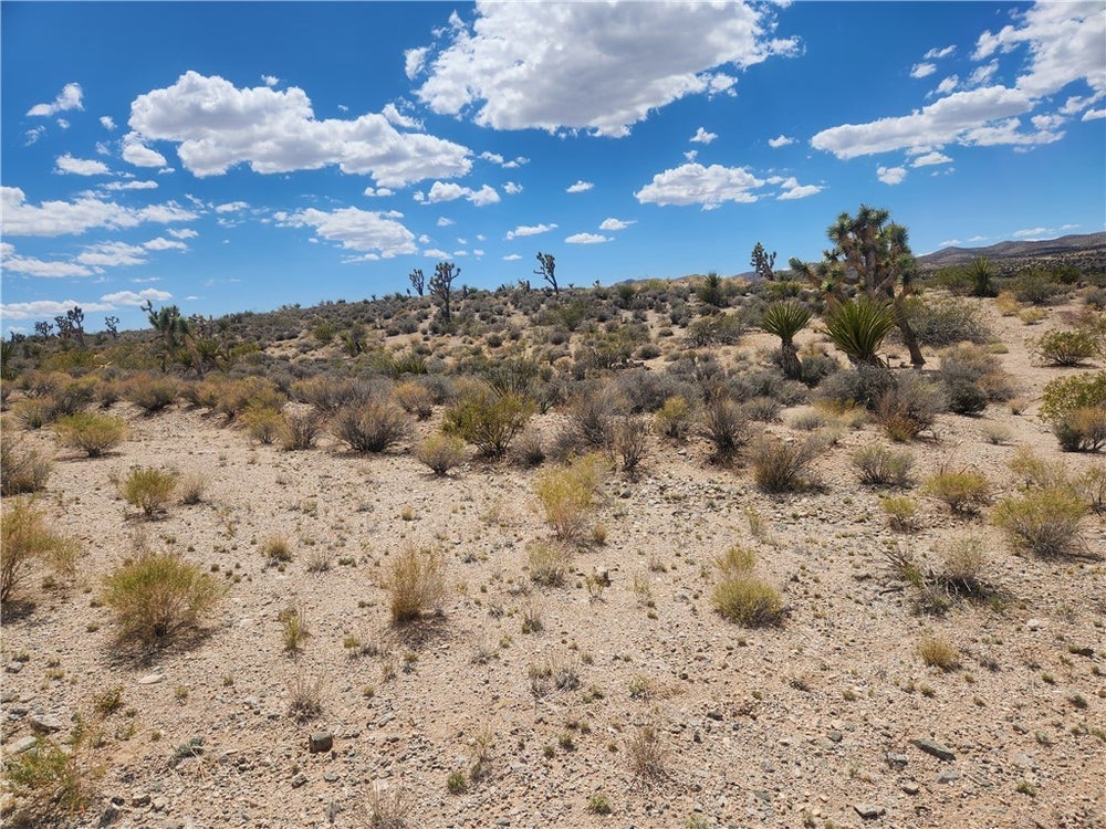 27445 N Driftwood Drive, Meadview, AZ 86444 - MLS# 029523 - Coldwell Banker