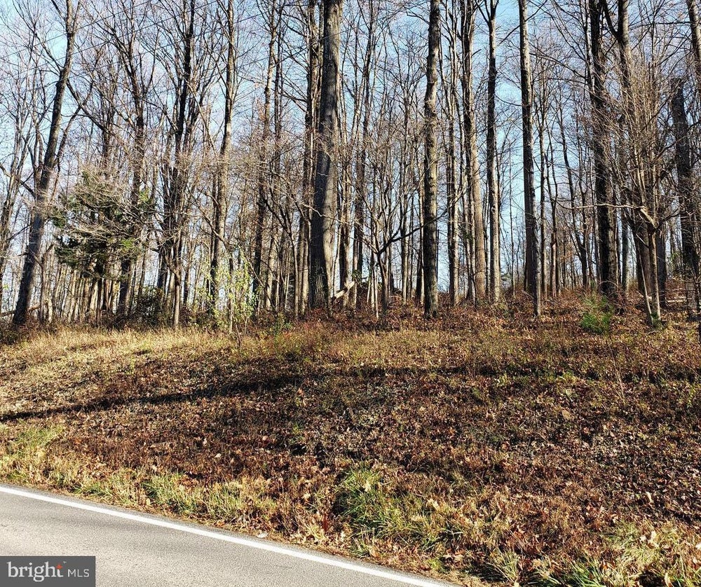 393 Sidney Rd, Annandale, NJ 08801 - MLS# NJHT2001506 - Coldwell Banker