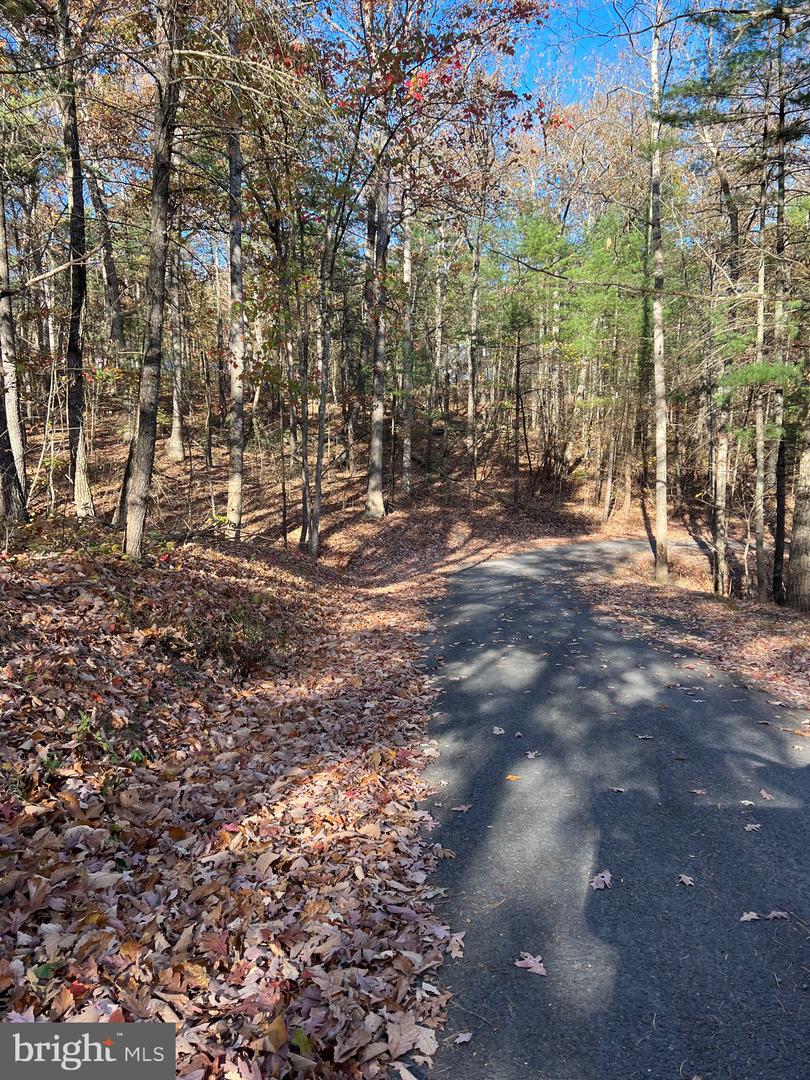 0 Ironwood Lot 255 Rd, Mount Jackson, VA 22842 - MLS# VASH2007250 ...