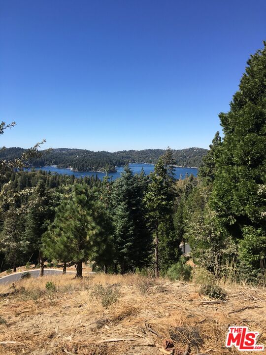 101 Mill Pond Rd, Lake Arrowhead, CA 92352 - MLS# 25612079 - Coldwell ...