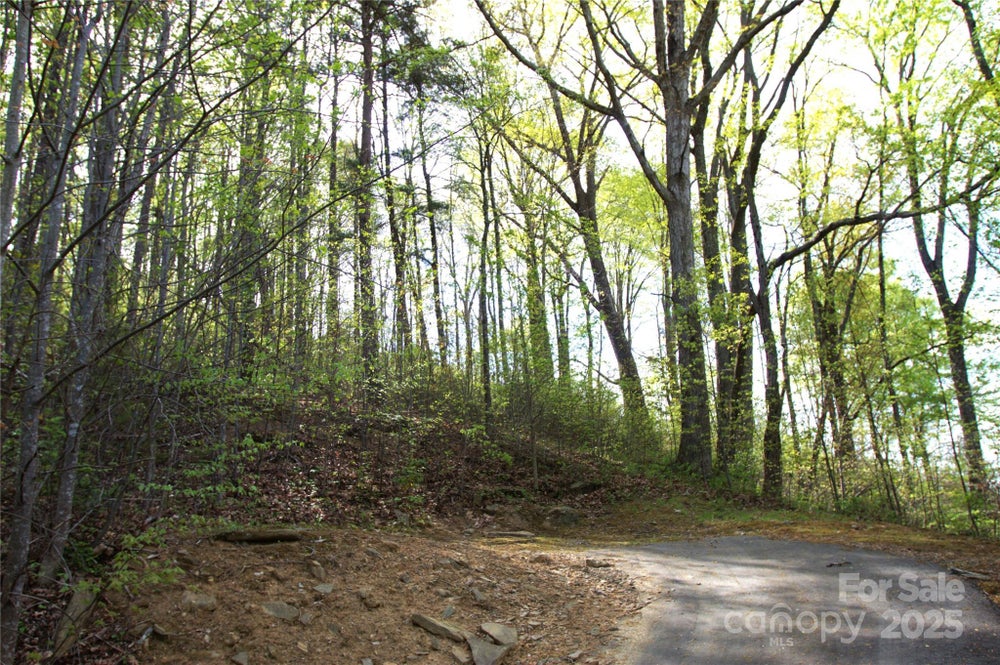 58 Ashewood Mountain Way, Candler, NC 28715 - MLS# 4252178 - Coldwell ...