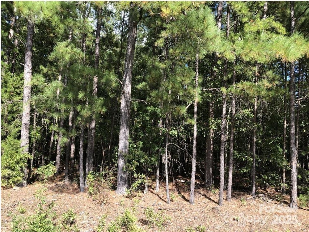 3826 Stoneboro Road, Heath Springs, SC 29058 - MLS# 4273644 - Coldwell ...