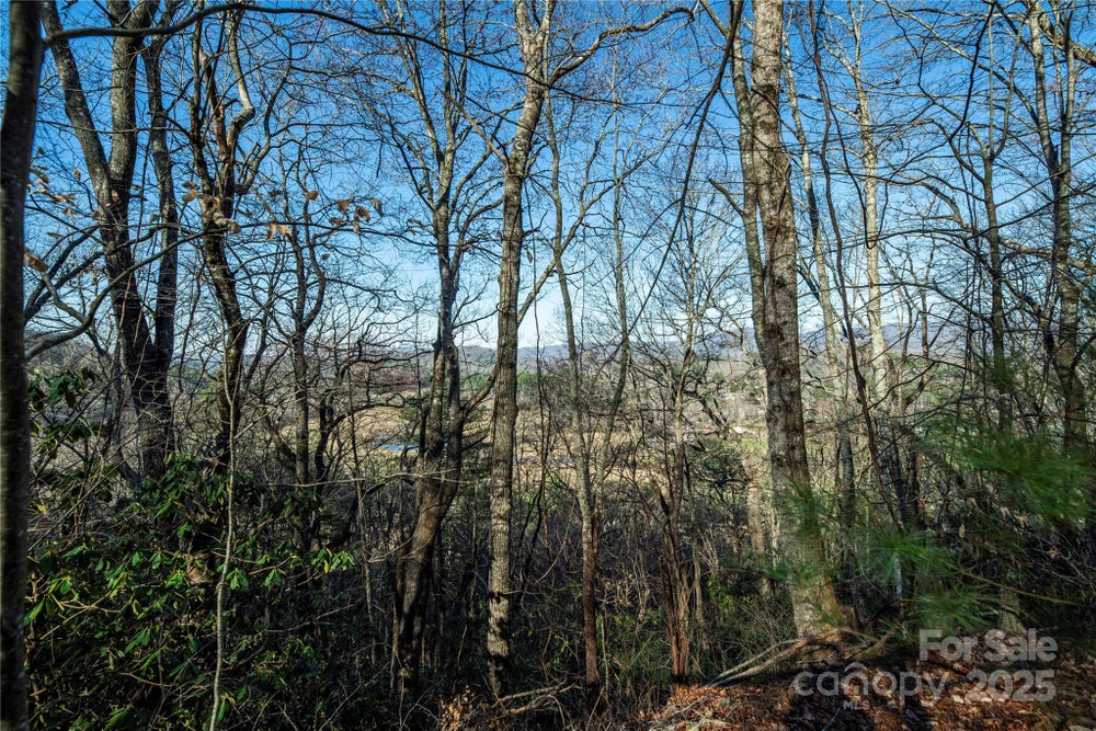 TBD Three Mile Knob Road #L1, Brevard, NC 28712 - MLS# 4292320 ...