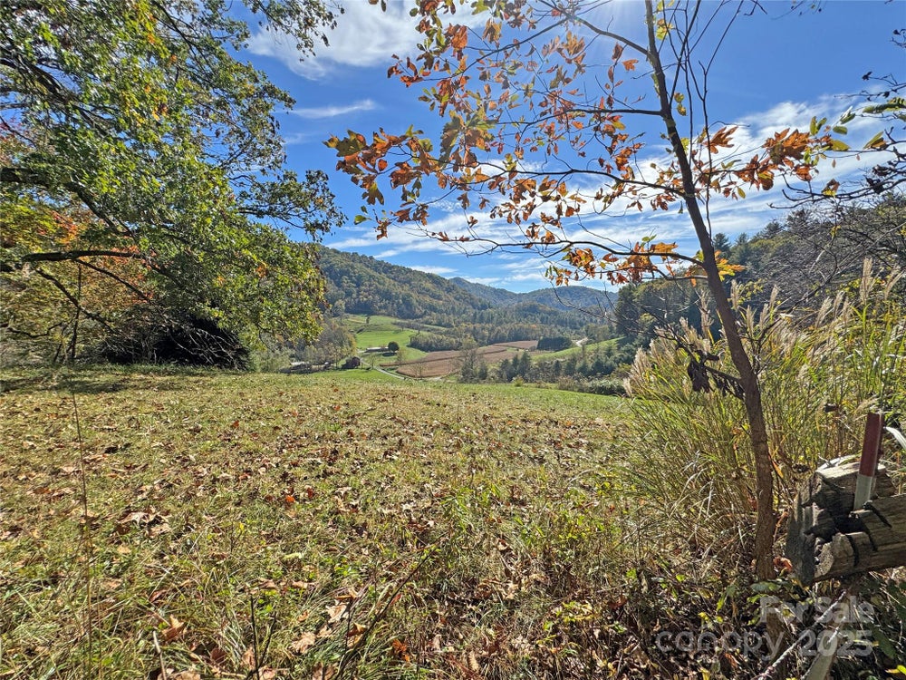 TBD Paint Fork Road, Mars Hill, NC 28754 - MLS# 4320611 - Coldwell Banker