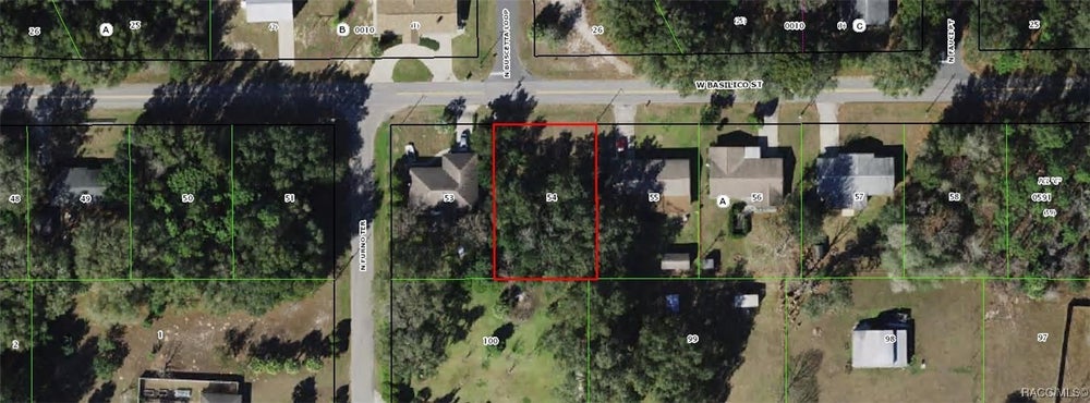 8590 W Basilico Street, Crystal River, FL 34428 - MLS# 839463 ...