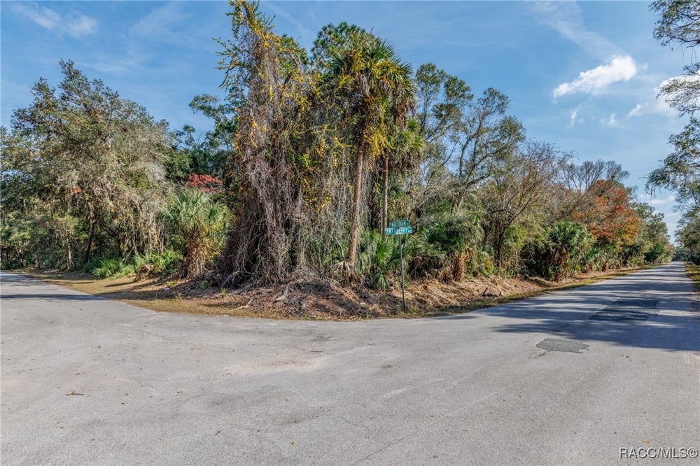 12298 W Marjoram Place, Crystal River, FL 34428 - MLS# 850105 ...