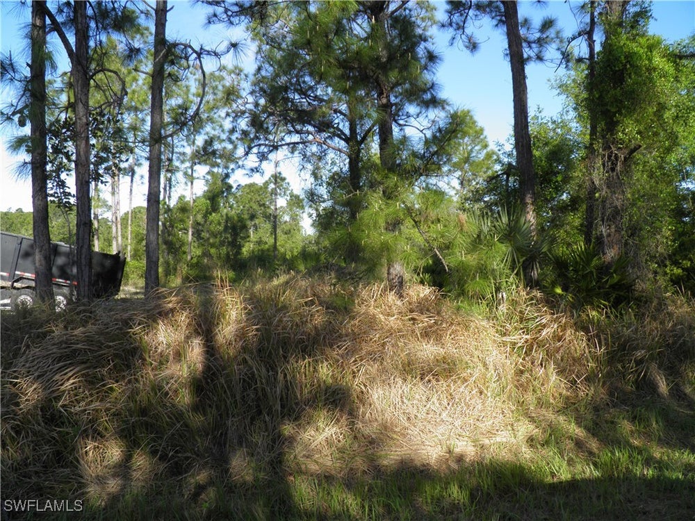 1121 Desoto Avenue, Lehigh Acres, FL 33972 - MLS# 225030246 - Coldwell ...