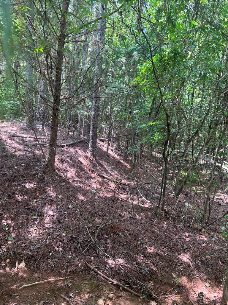 0 Boyd Court, Upatoi, GA 31829 - MLS# 221765 - Coldwell Banker