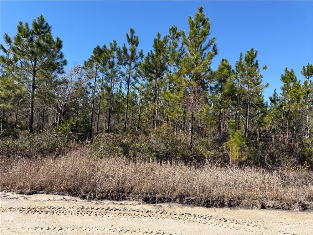 0 (Lot 11) Elmer Thrift Road, Waycross, GA 31503 - MLS# 1651417 ...