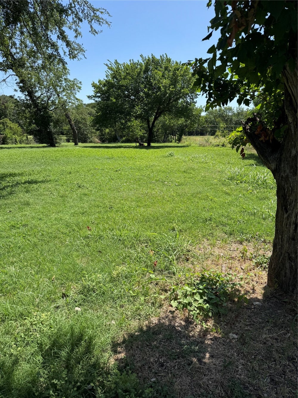 2414 Finklea Street, Dallas, TX 75212 - MLS# 21008990 - Coldwell Banker
