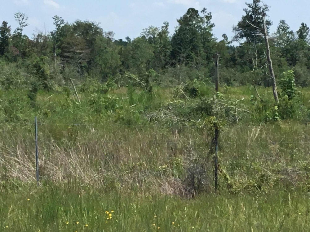 Tbd Us 171, Longville, LA 70652 - MLS# 26-5087 - Coldwell Banker