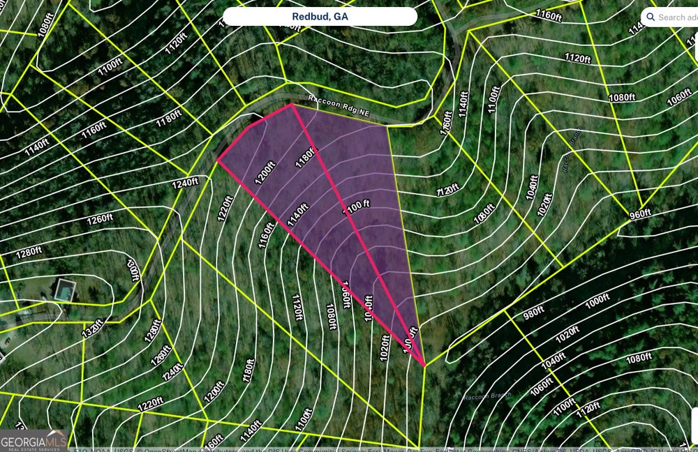 1026 Raccoon Ridge Ne, Ranger, GA 30734 - MLS# 10454235 - Coldwell Banker