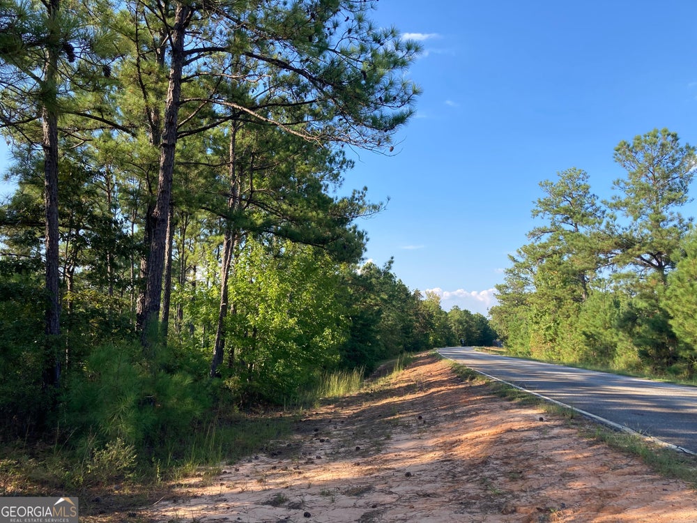 0 Firetower Road, Cusseta, GA 31805 - MLS# 10457963 - Coldwell Banker