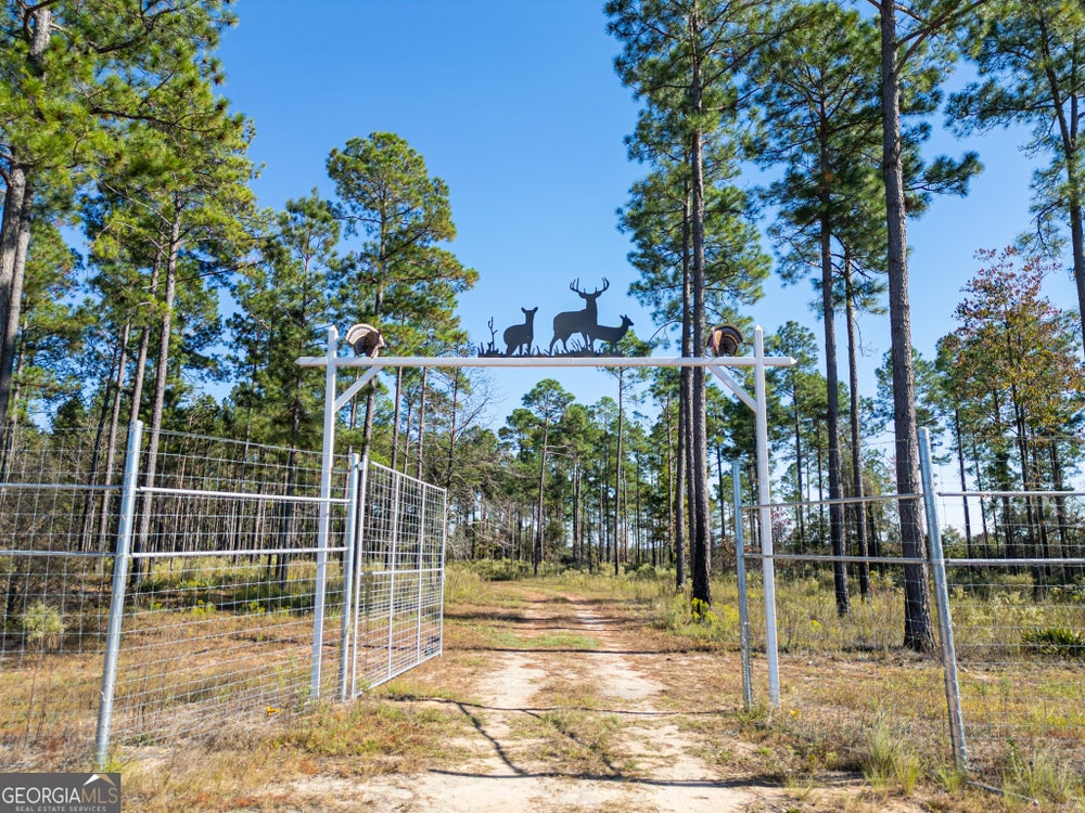 0 Fall Line High Fence, Ellaville, GA 31806 - MLS# 10648976 - Coldwell ...