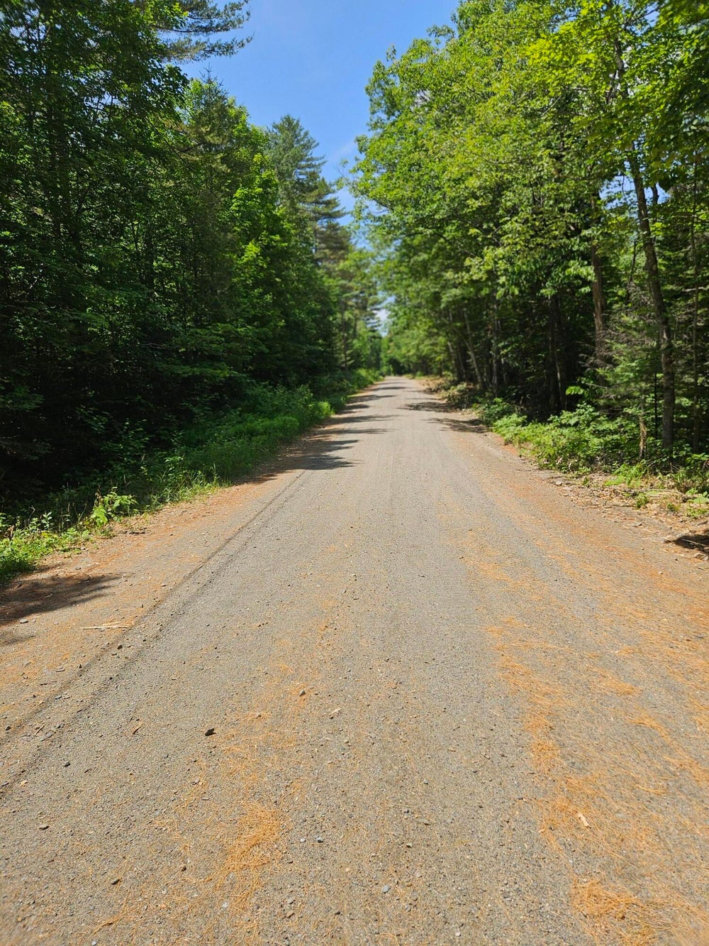 67 Parlin Road, Phillips, ME 04966 - MLS# 1628869 - Coldwell Banker