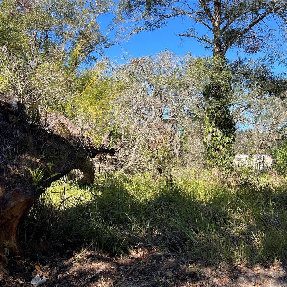 21513 Durden Road, Dade City, FL 33523 - MLS# A4637317 - Coldwell Banker