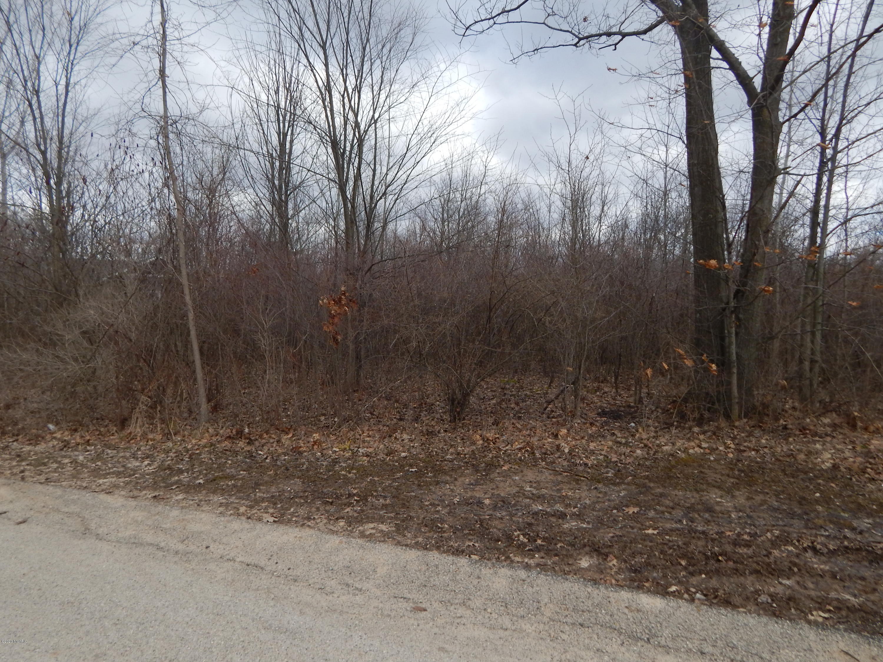 280 Piper Cove Cove, Bailey, MI 49303 - MLS# 20009739 - Coldwell Banker