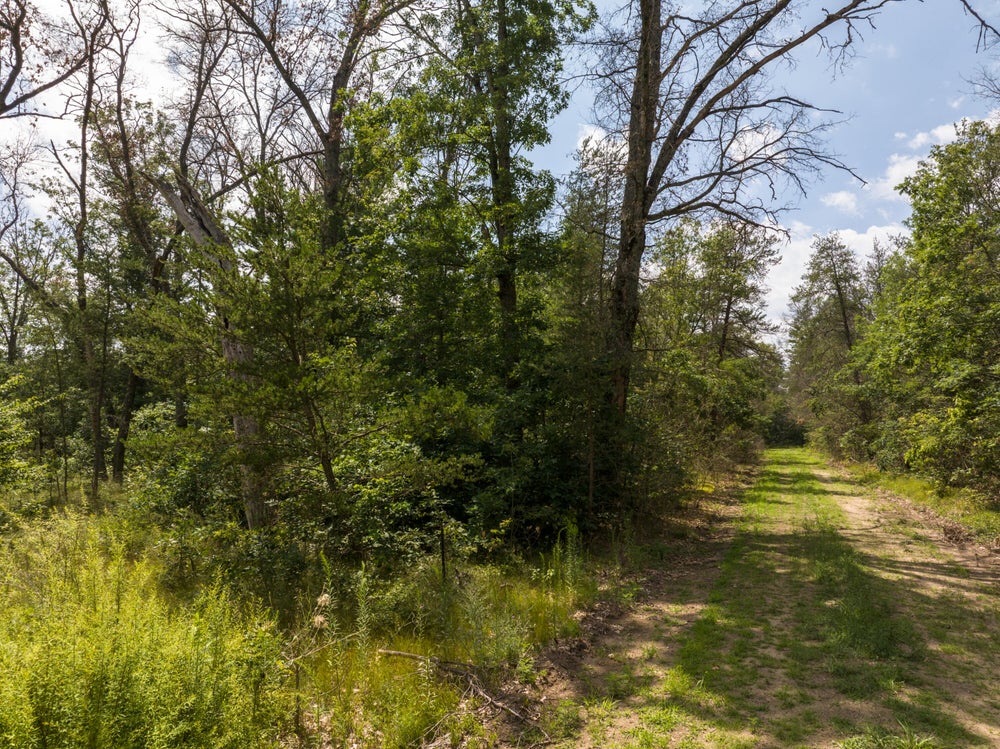 Lots 8-14 St Louis, Idlewild, MI 49642 - MLS# 25024795 - Coldwell Banker