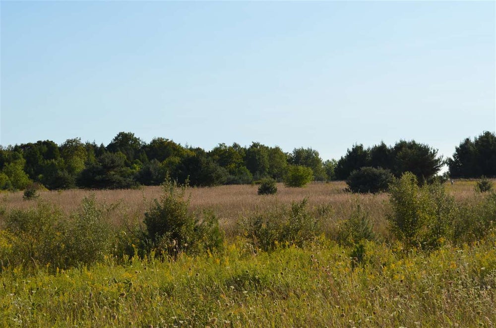 2258 Countryside Lane, Petoskey, MI 49770 - MLS# 469483 - Coldwell Banker