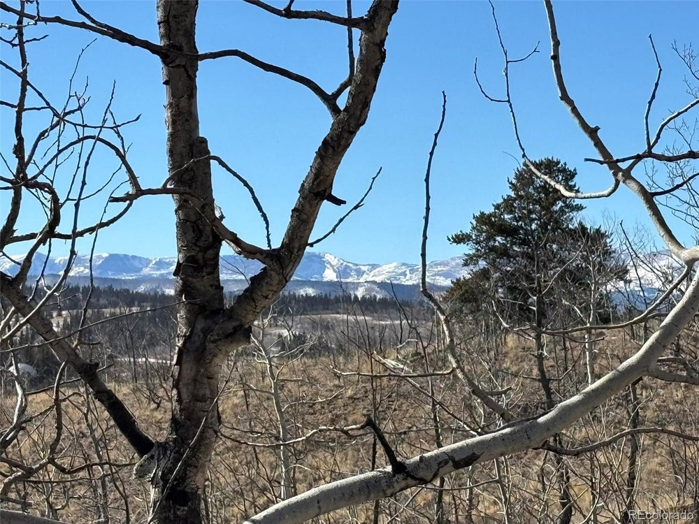 29 Strelets Way, Como, CO 80432 - MLS# 9695738 - Coldwell Banker