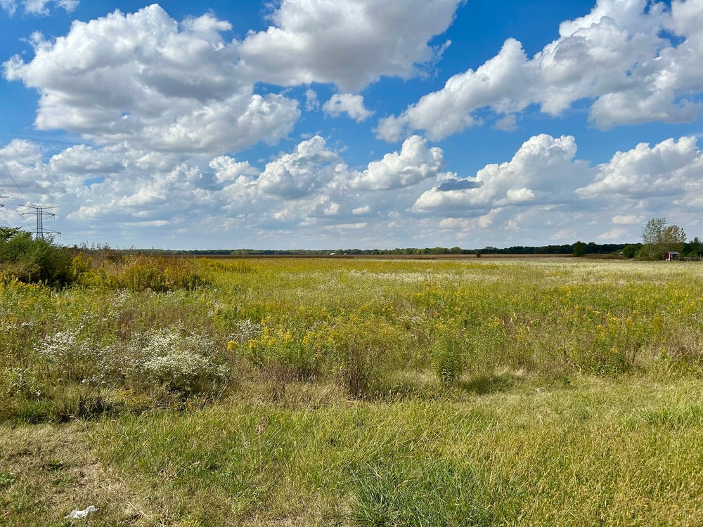 1065 N Gorman Road, Morris, IL 60450 - MLS# 12490101 - Coldwell Banker