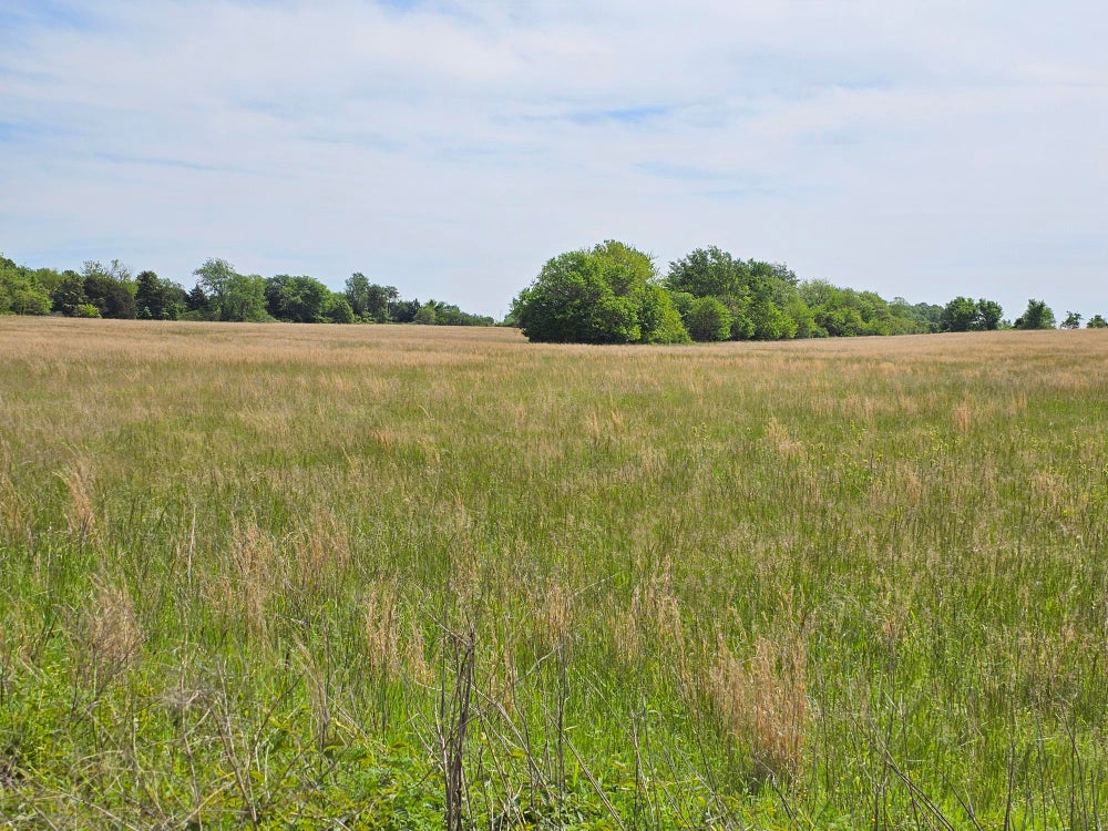 37 Acre Hwy Dd & Crane Drive Highway, Seneca, MO 64865 - MLS# 60287469 ...