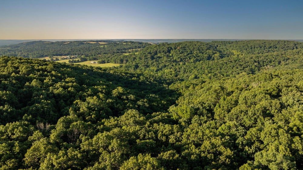 000 Farm Road 1190, Aurora, MO 65605 - MLS# 60299564 - Coldwell Banker