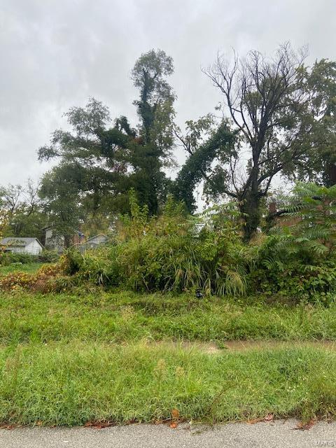 5465 Gilmore Avenue, St Louis, MO 63120 - MLS# 24036648 - Coldwell Banker