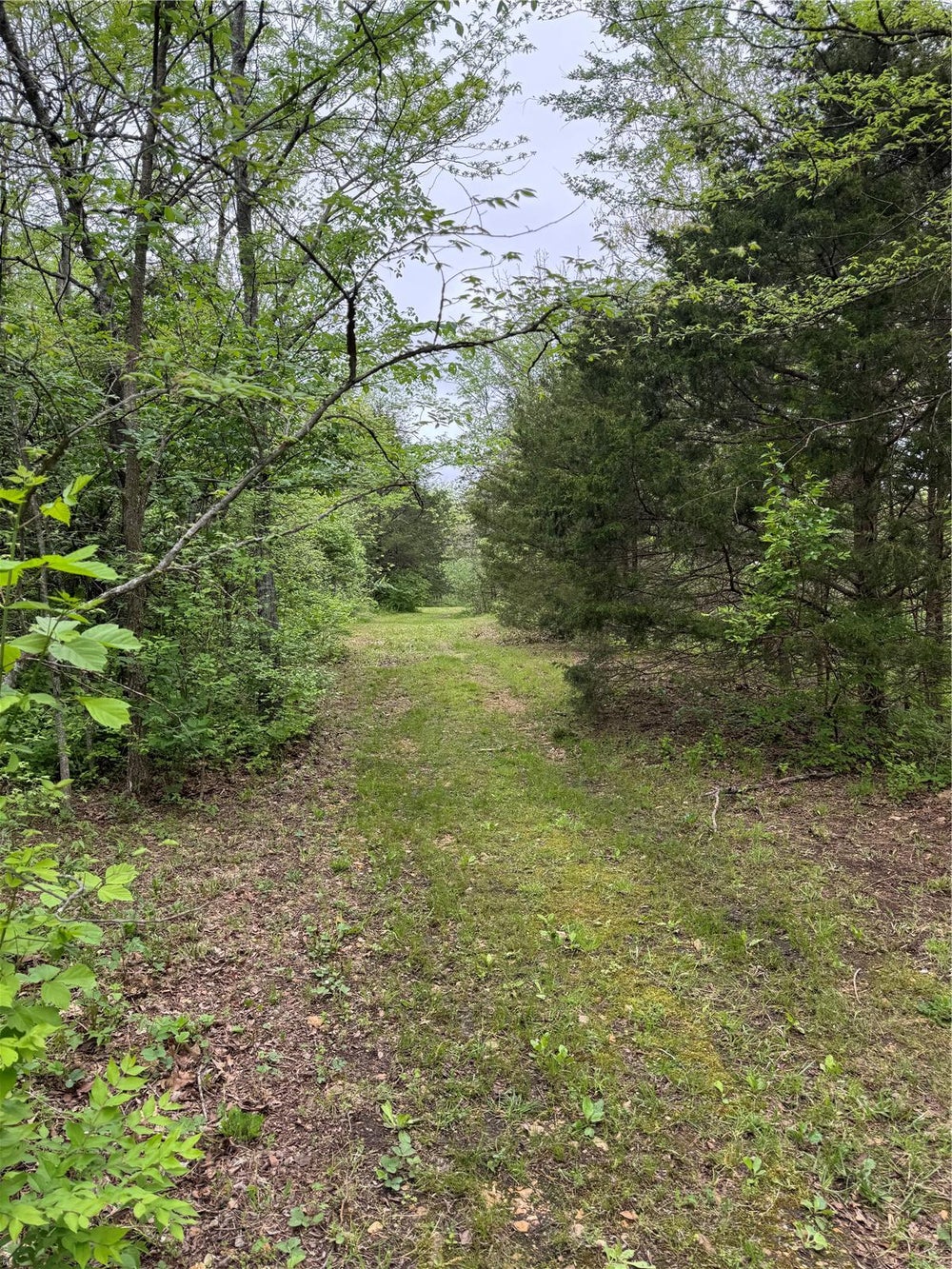 12711 Dude Lane, Fletcher, MO 63030 - MLS# 25028680 - Coldwell Banker