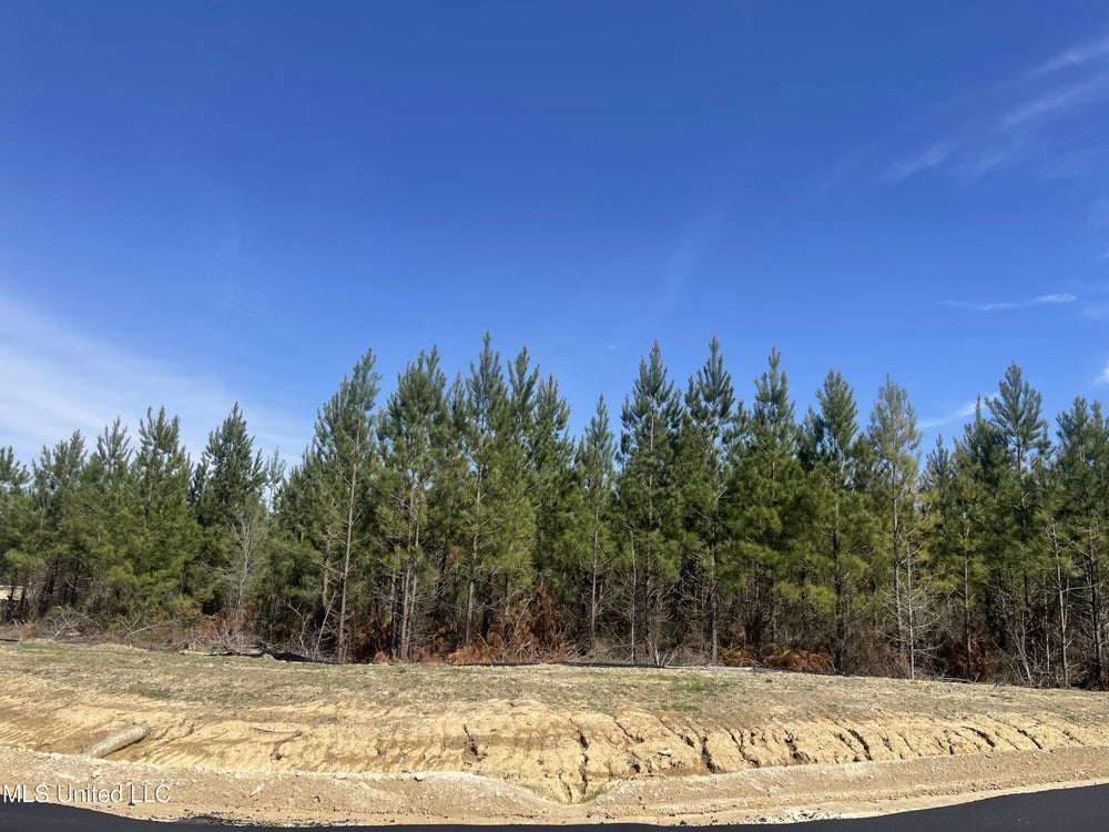 728 Freedom Ridge, Brandon, MS 39047 - MLS# 4093472 - Coldwell Banker