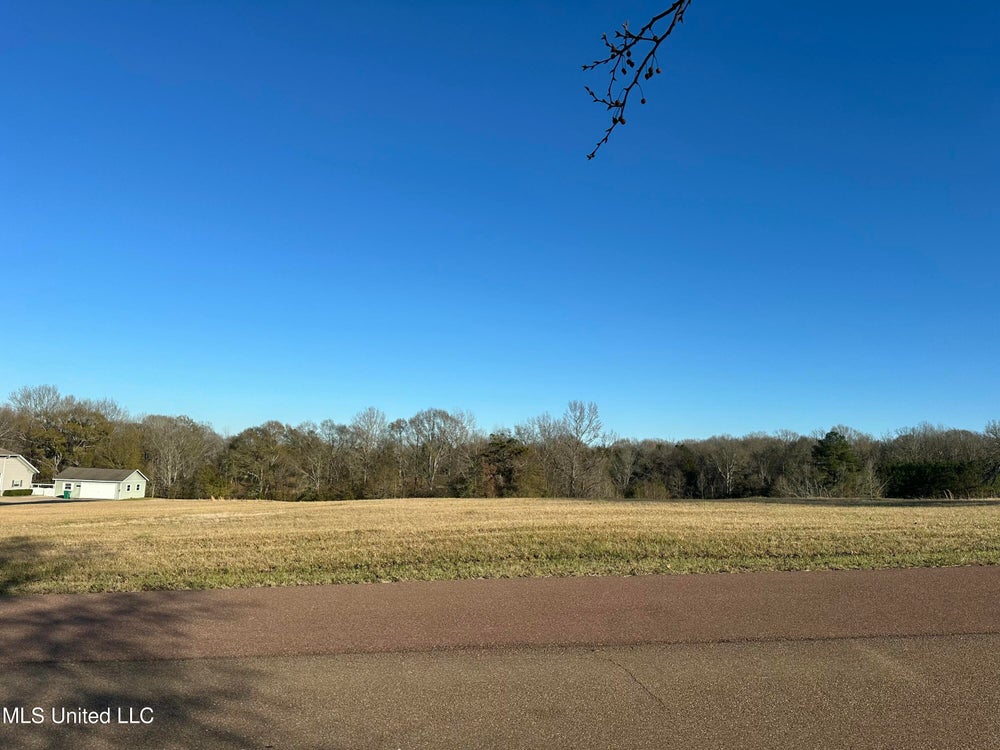 Meadow Oaks Lane, Clinton, MS 39056 - MLS# 4099715 - Coldwell Banker