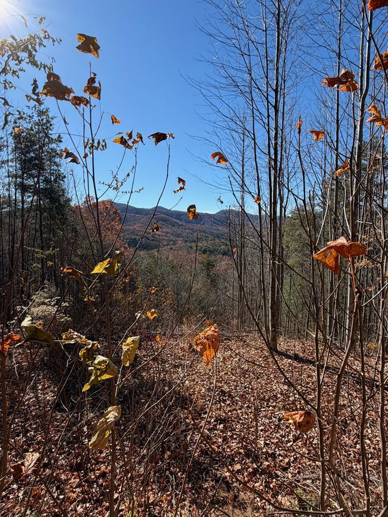 Lot 14 View Ridge Trail, Murphy, NC 28906 - MLS# 153170 - Coldwell Banker