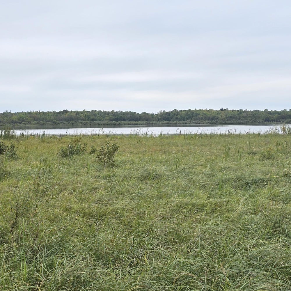 TBD S Gull Lake Rd Ne, Tenstrike, MN 56683 - MLS# 6786426 - Coldwell Banker