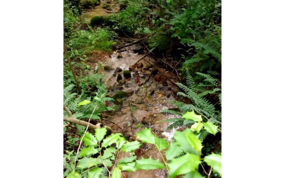 000 Big Creek Road, East Ellijay, GA 30540 - MLS# 330746 - Coldwell Banker