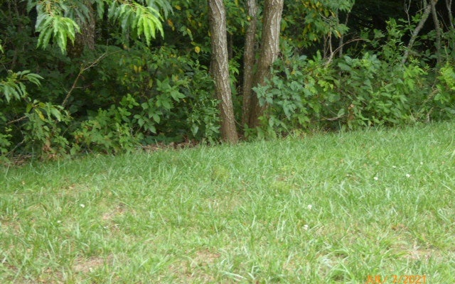 LT 12 The Summit, Blairsville, GA 30512 - MLS# 404133 - Coldwell Banker