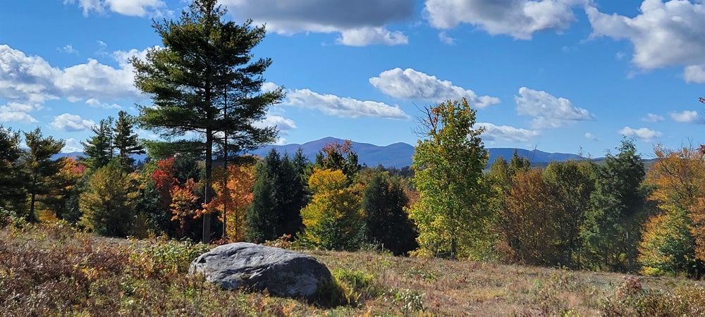 250 Hawley Lane, Rutland Town, VT 05701 - MLS# 4987374 - Coldwell Banker