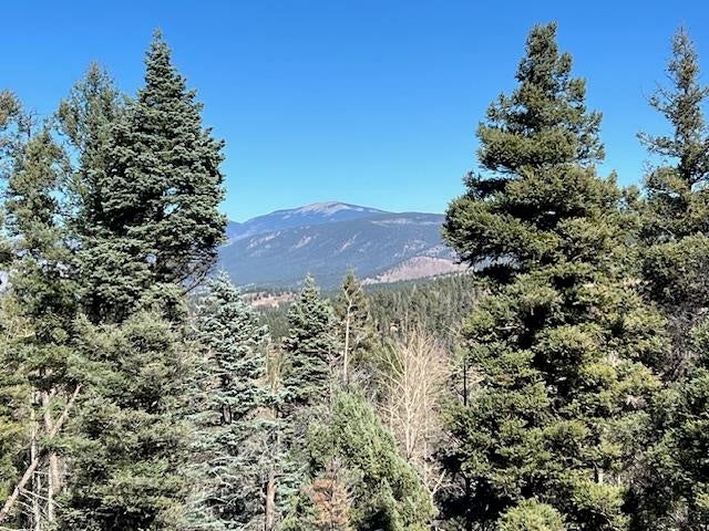 lot 373 Vail Loop, Angel Fire, NM 87710-0000 - MLS# 114189 - Coldwell ...