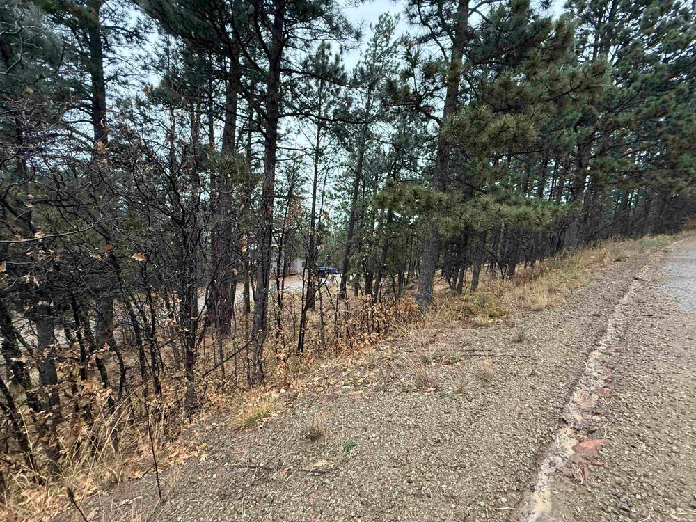 Lot 119 Valley Rd, Angel Fire, NM 87710 - MLS# 114252 - Coldwell Banker