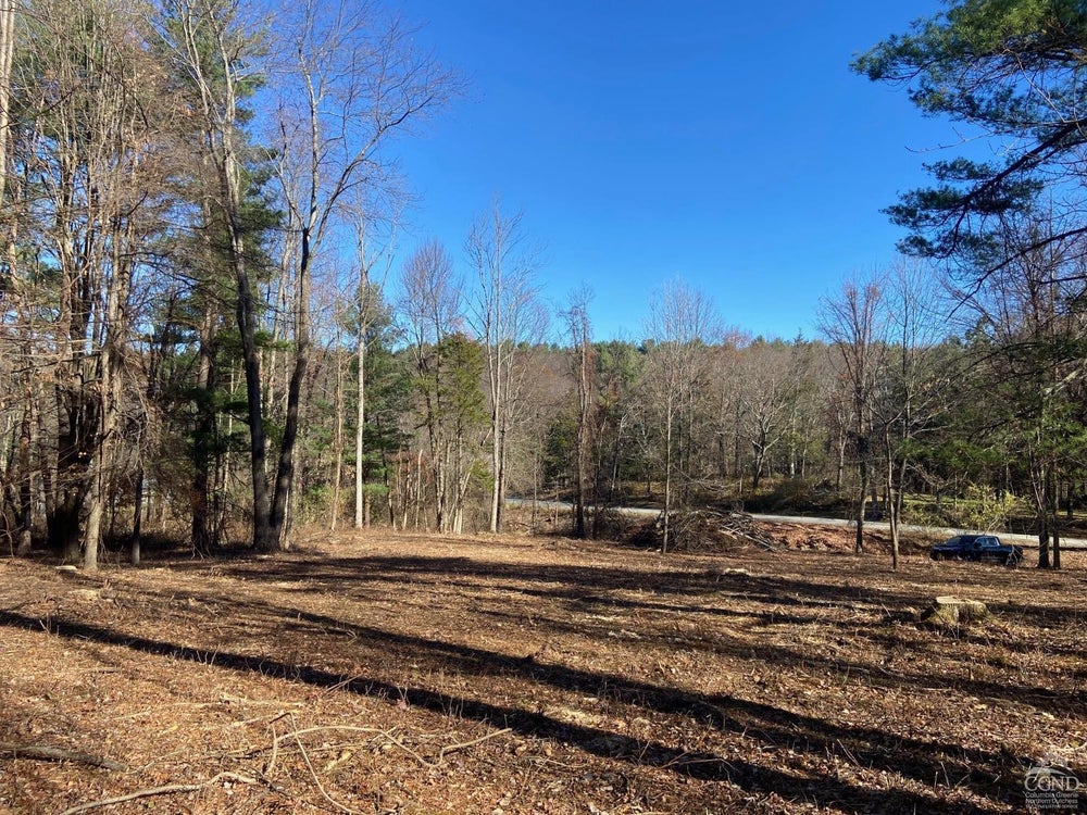 0 Thomas Road, Craryville, NY 12513 - MLS# 155857 - Coldwell Banker