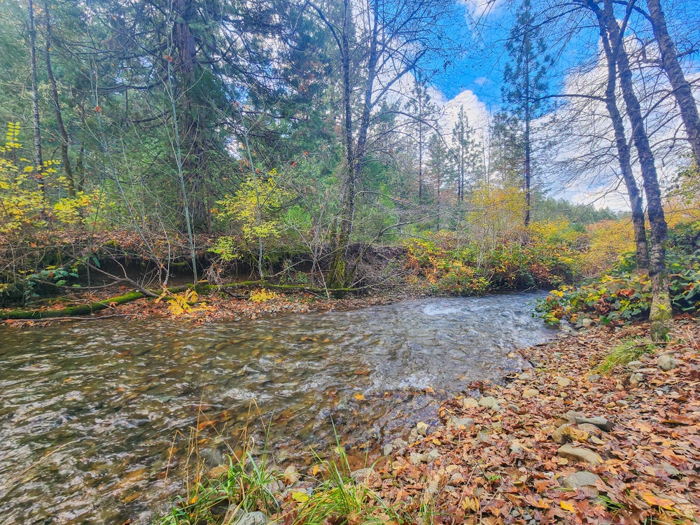 1338 Thompson Creek, Selma, OR 97538 - MLS# 220207318 - Coldwell Banker