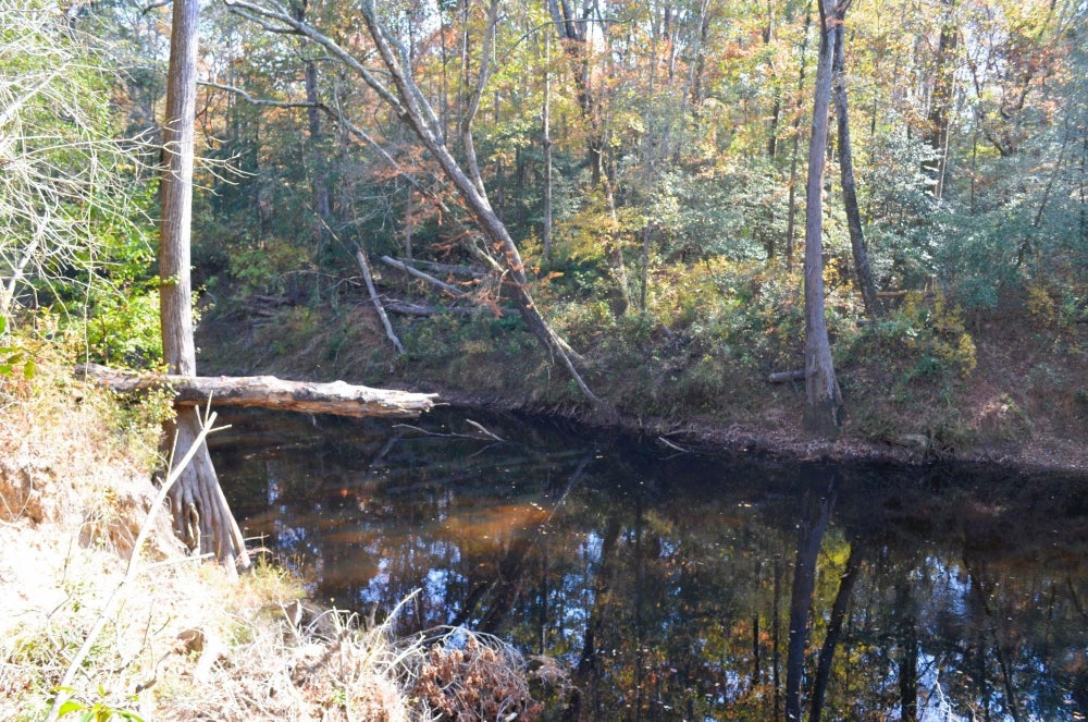 06B Josey Williams Road, Erwin, NC 28339 - MLS# 2542121 - Coldwell Banker