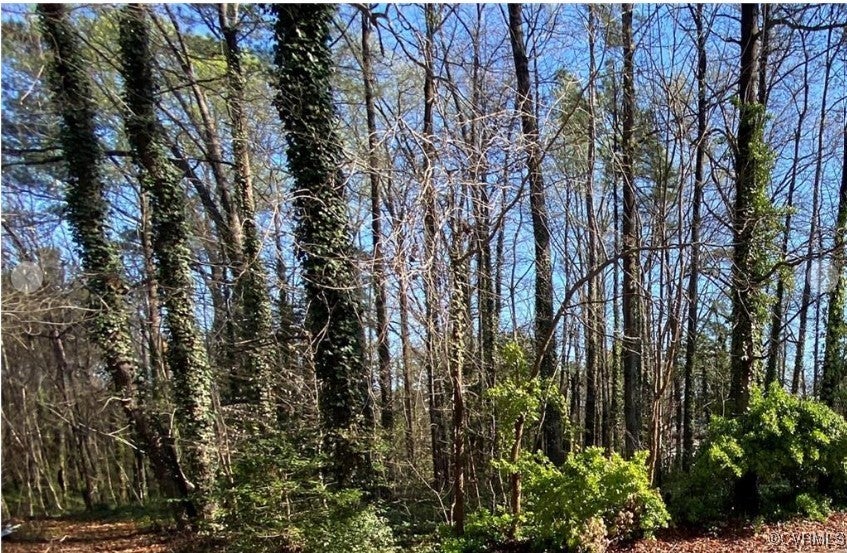 7817 Noble Avenue, Henrico, VA 23227 - MLS# 2500730 - Coldwell Banker