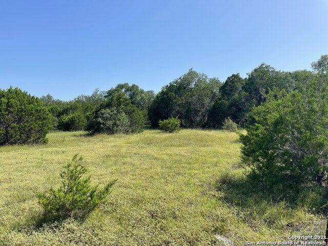 254 Serenity Pass, Spring Branch, TX 78070 - MLS# 1724265 - Coldwell Banker