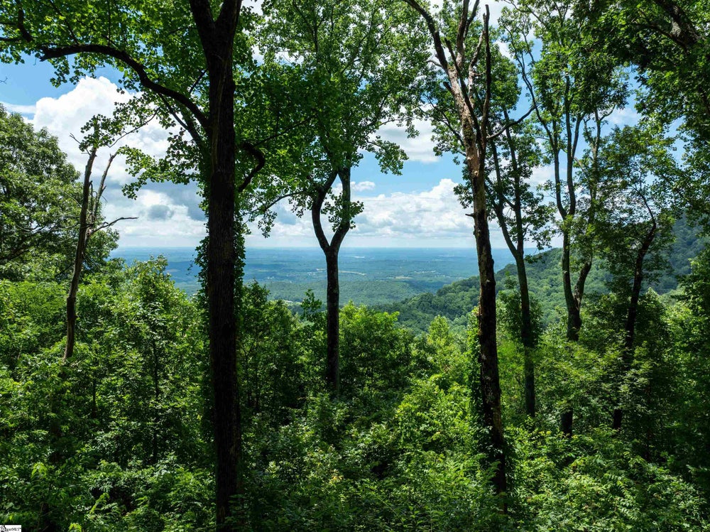 22 Raven Road, Landrum, SC 29356 - MLS# 1562388 - Coldwell Banker